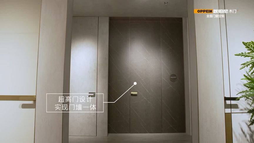 #木门 #装修设计 #超高门 爆款平板木门 想要什么花色就什么花色