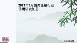 2023年5月国内金融行业风险敞口分析(字幕纯享版)