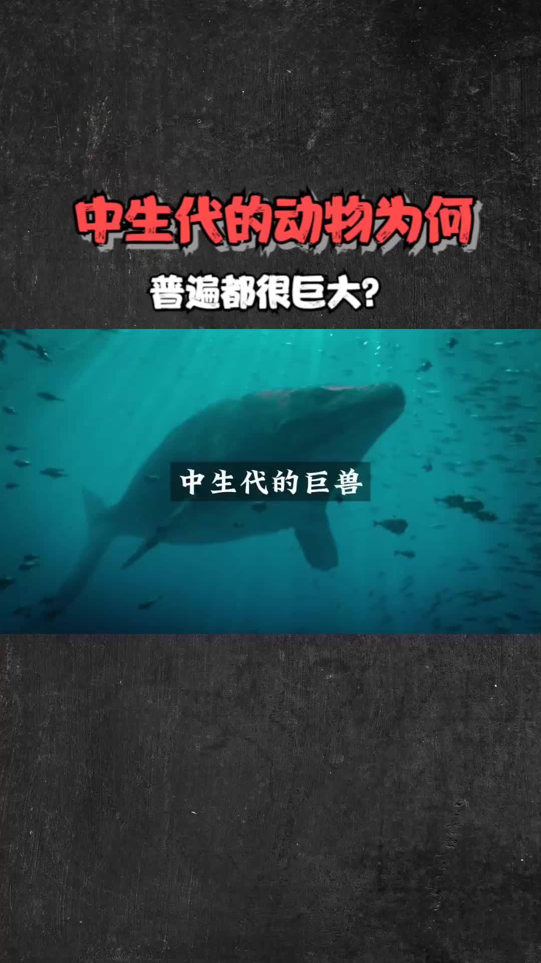 为何中生代的爬行动物如此巨大?