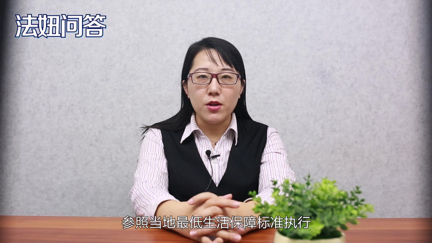 国家赔偿标准死亡赔偿的项目有哪些