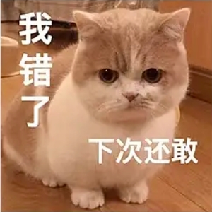 猴子空空 