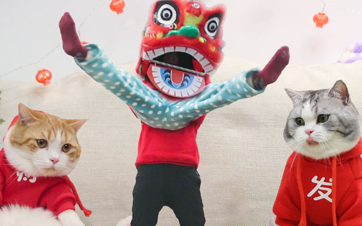 主人陪猫咪吃年夜饭,一起表演爆笑沙雕舞狮,猫:大过年的太丢人了!