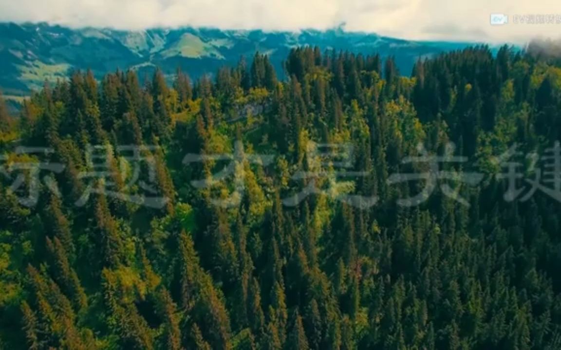 多语言AI在线客服系统无限坐席pc+wap+文档教程【源码+视频教程】,...