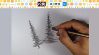 素描松树的绘画教程,教你用最简单的方法画松树!