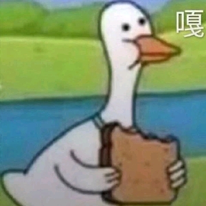 UP主认为很淦 