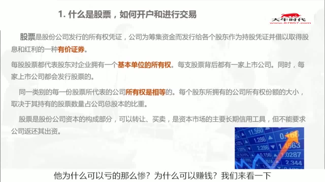 什么是股票