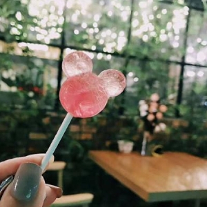朵糖菌 