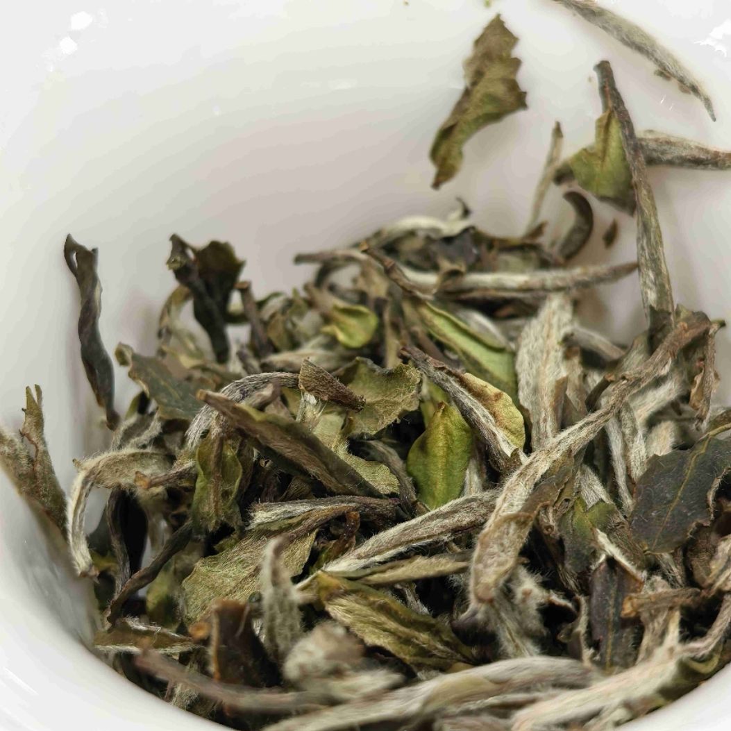 南阳市合欢茶业 