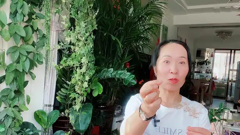 种子有哪些传播方式