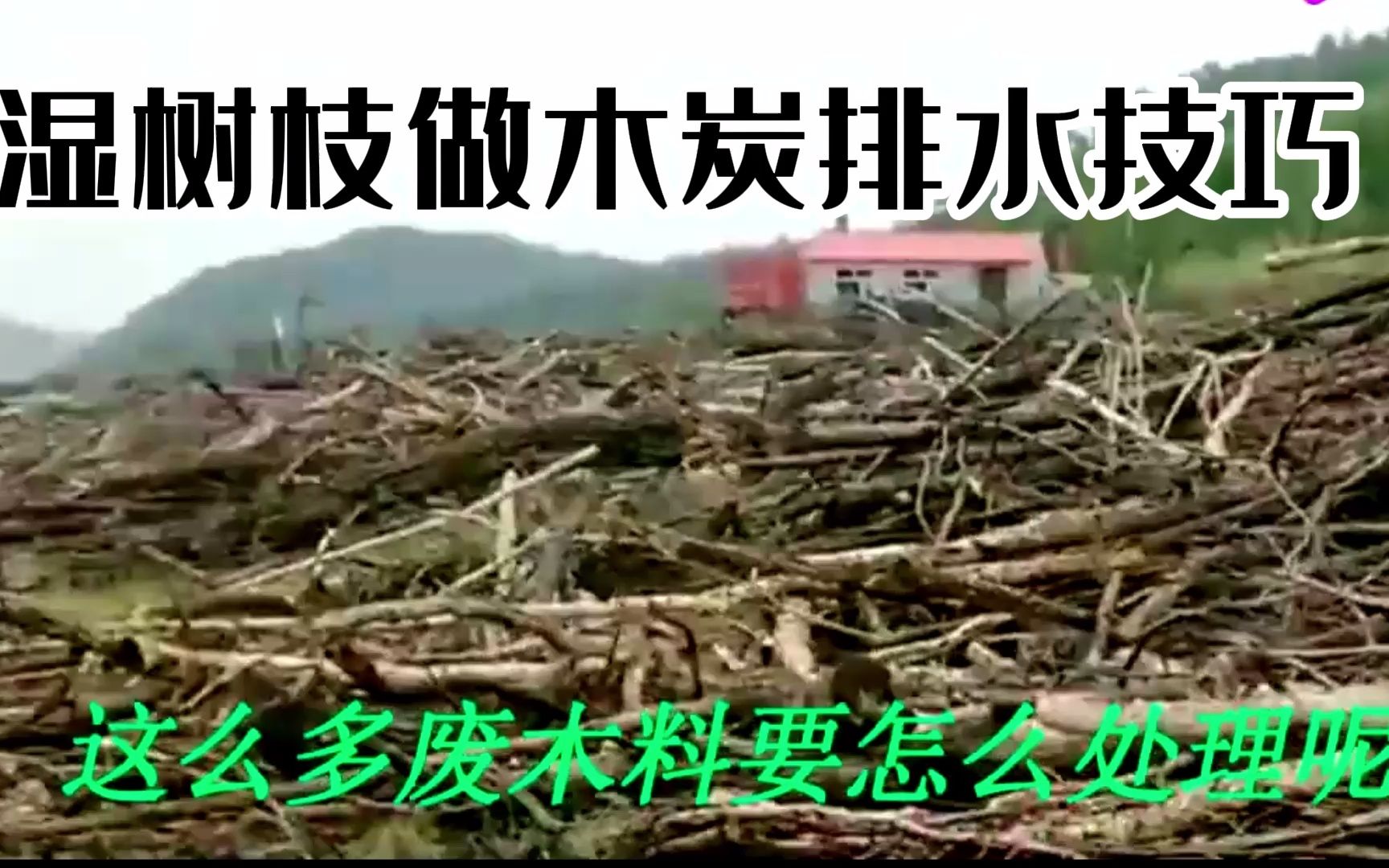 湿树枝制炭机卧式炭化炉排湿技术巧木炭机生产厂家多少钱