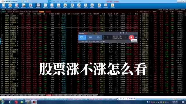 怎么看股票涨不涨