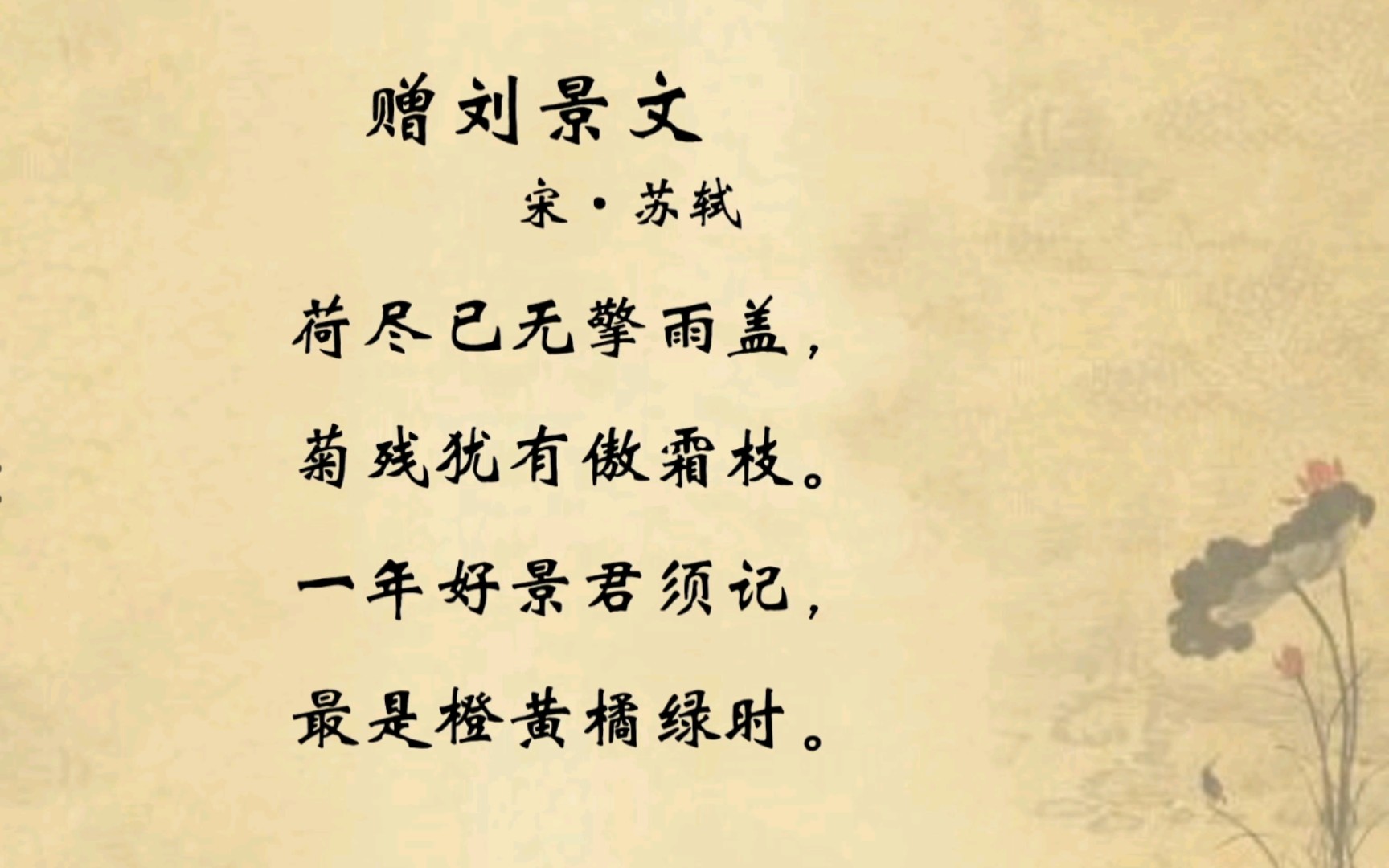 【古诗62首】赠刘景文(小学低中学段必背古诗系列)