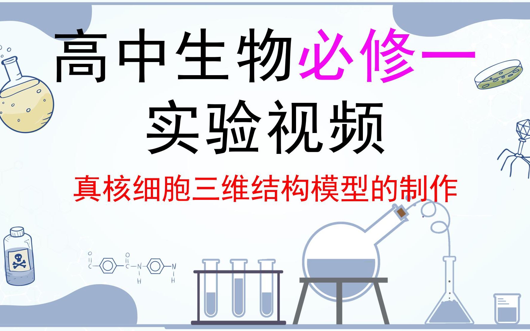 【高中生物必修1】教学视频(实验)|真核细胞三维结构模型的制作