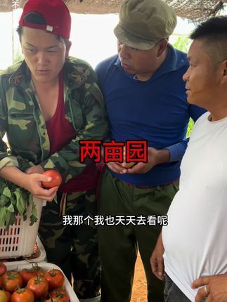 搞笑段子 搞笑段子