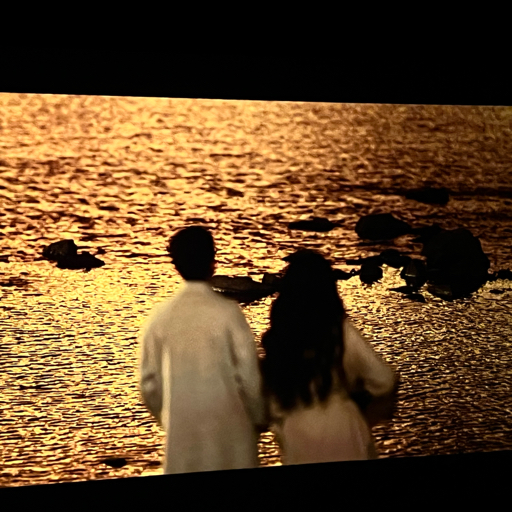 过忘川忆你所忆 