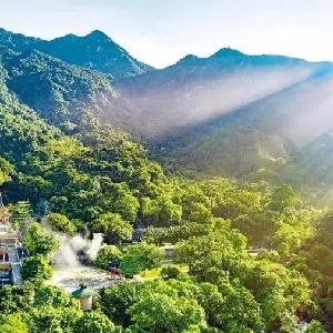 高常参玄 