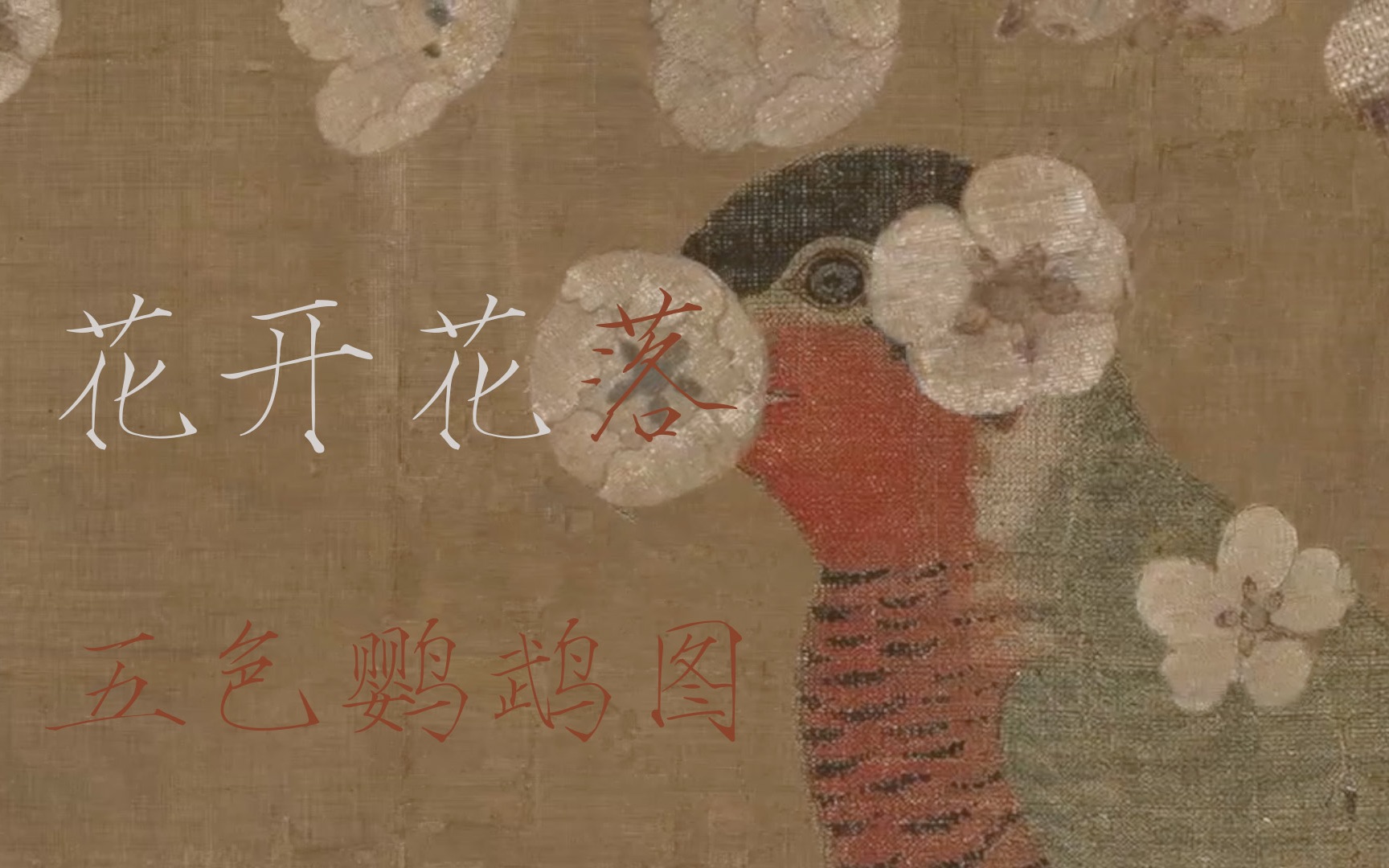「沉浸式动画」花开花落的《五色鹦鹉图》 坂本龙一 只此青绿