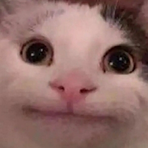 RDCJTGBNKJ 