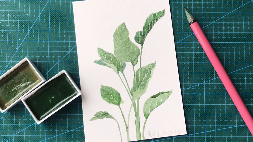 水彩:简单的绿植画法,一看就会,赶快练起来吧