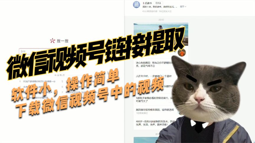 微信视频号的视频链接提取软件,软件小,操作简单