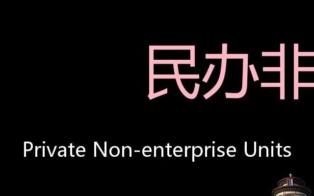 民办非企业单位 Chinese Pronunciation Private Non-Enterprise Units