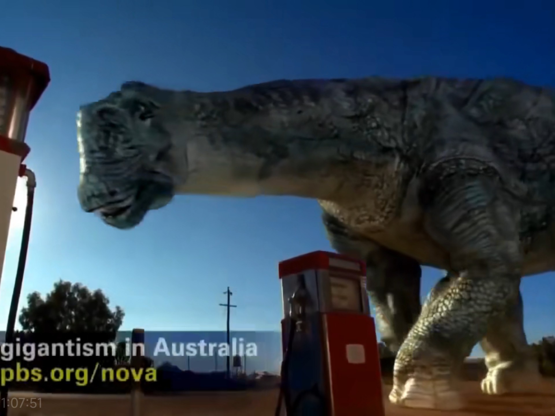 恐龙之前的怪兽:库珀澳洲巨龙。身长35米。体重100吨。麦肯齐一直...