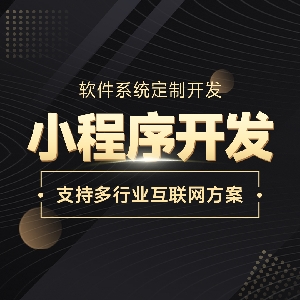 小程序开发软件 