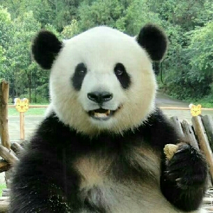 思嘉大宝贝 