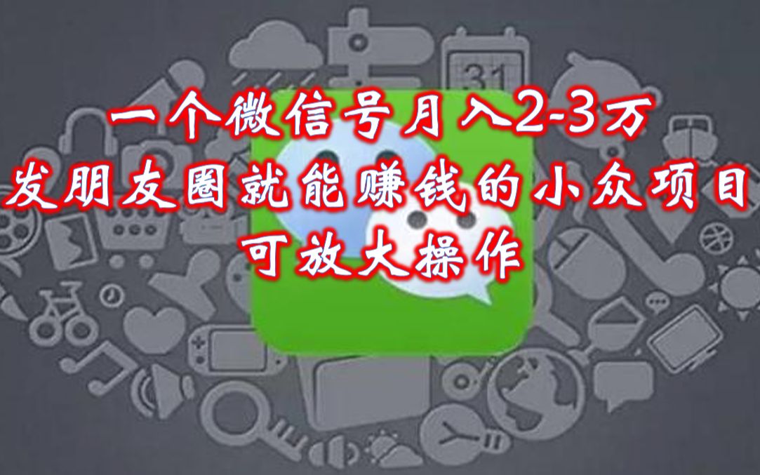 【副业项目】一个微信号月入2-3万,发朋友圈就能赚钱的小众项目,可...