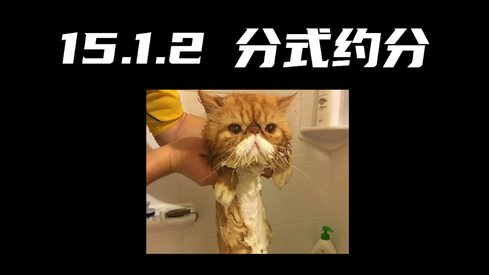初中数学初二8年级 15.1.2 分式约分