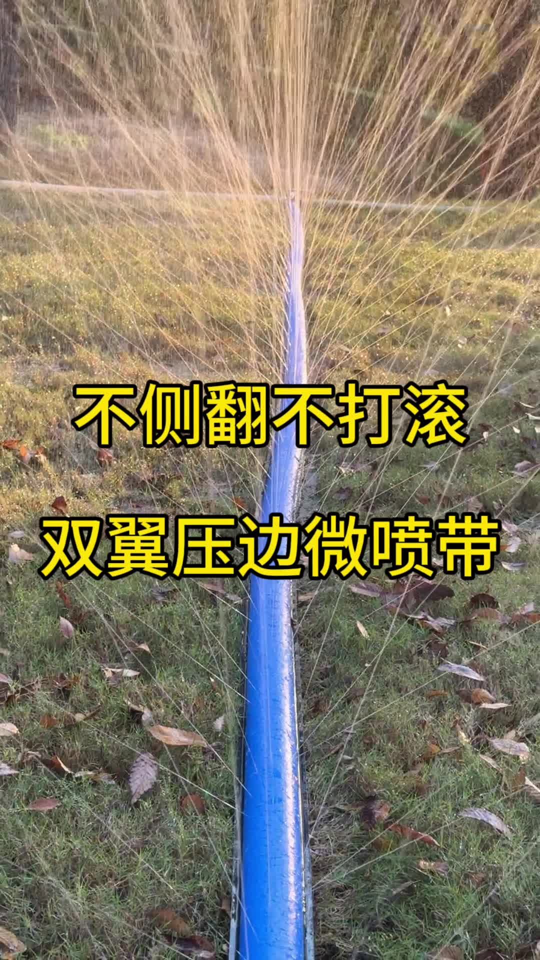 双翼压边微喷带 遇风不打滚防侧翻 使用更高效 喷的高喷的远 效果好 ...