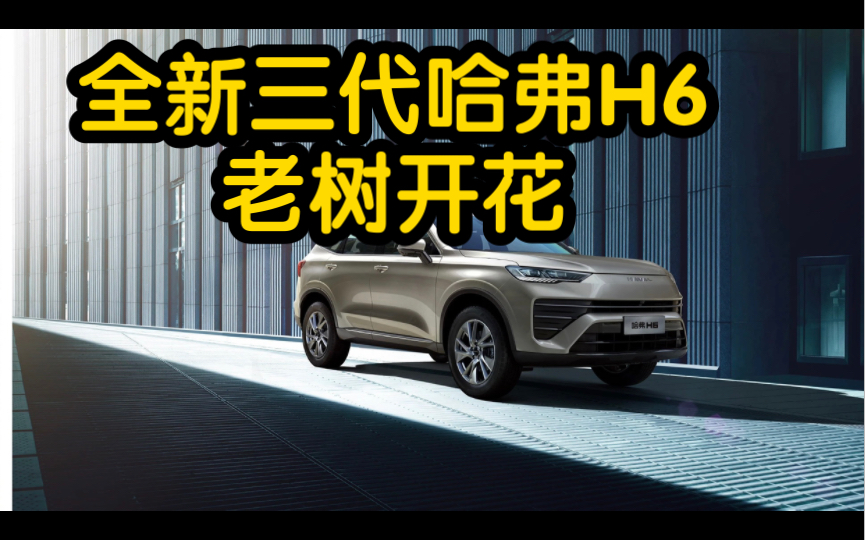 全新三代哈弗H6,安波福和华阳到底还要用多久?我无时无刻盼望老款“...
