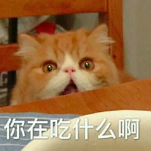 欢乐的小罗老师 