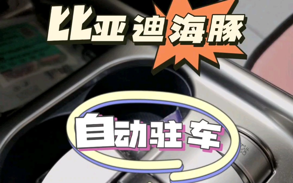 细说比亚迪海豚自助驻车,建议大家都开起来!