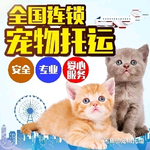 宠物全国托运 
