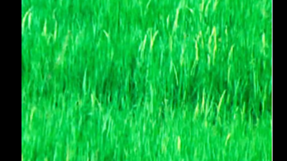 电影:《重见天日》