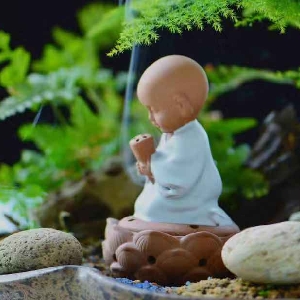 听雨量化 