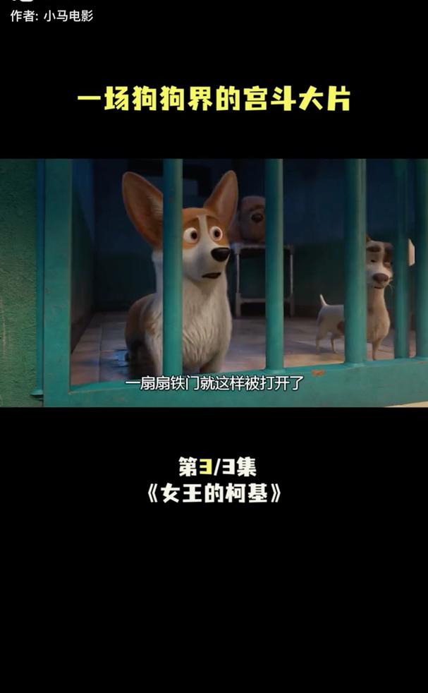 柯基狗狗为了复仇,苦练中国功夫#你童年最喜欢的一部动画片是什么#