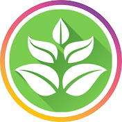 倾听自然的语言 
