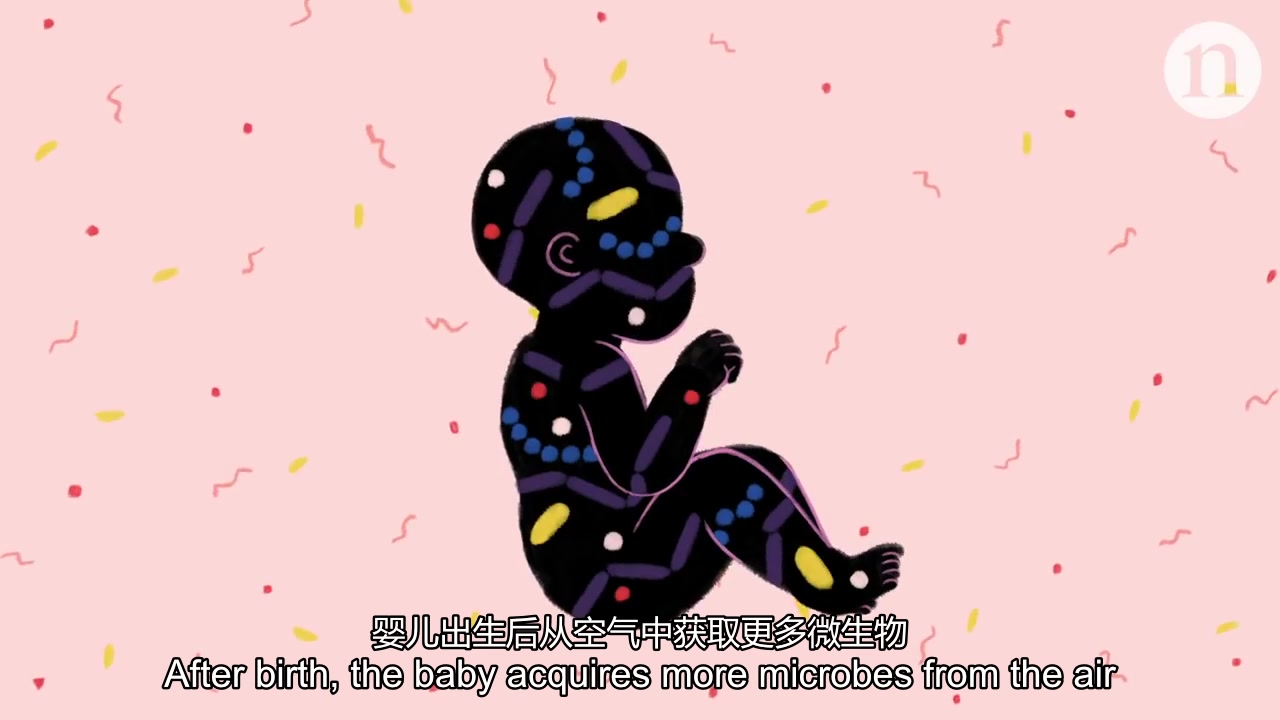 几分钟带你了解伴随我们一生的微生物