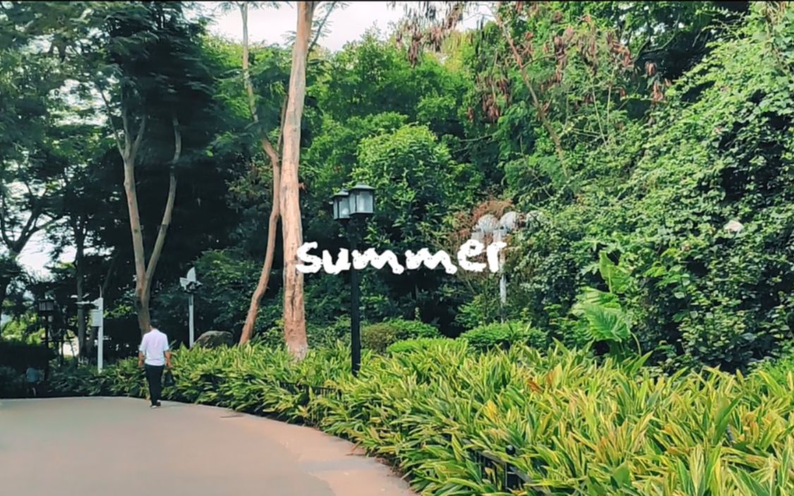 [vlog]说走就走去厦门是种怎样的体验