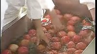 学校食堂食品安全管理与操作规范(2012年版)