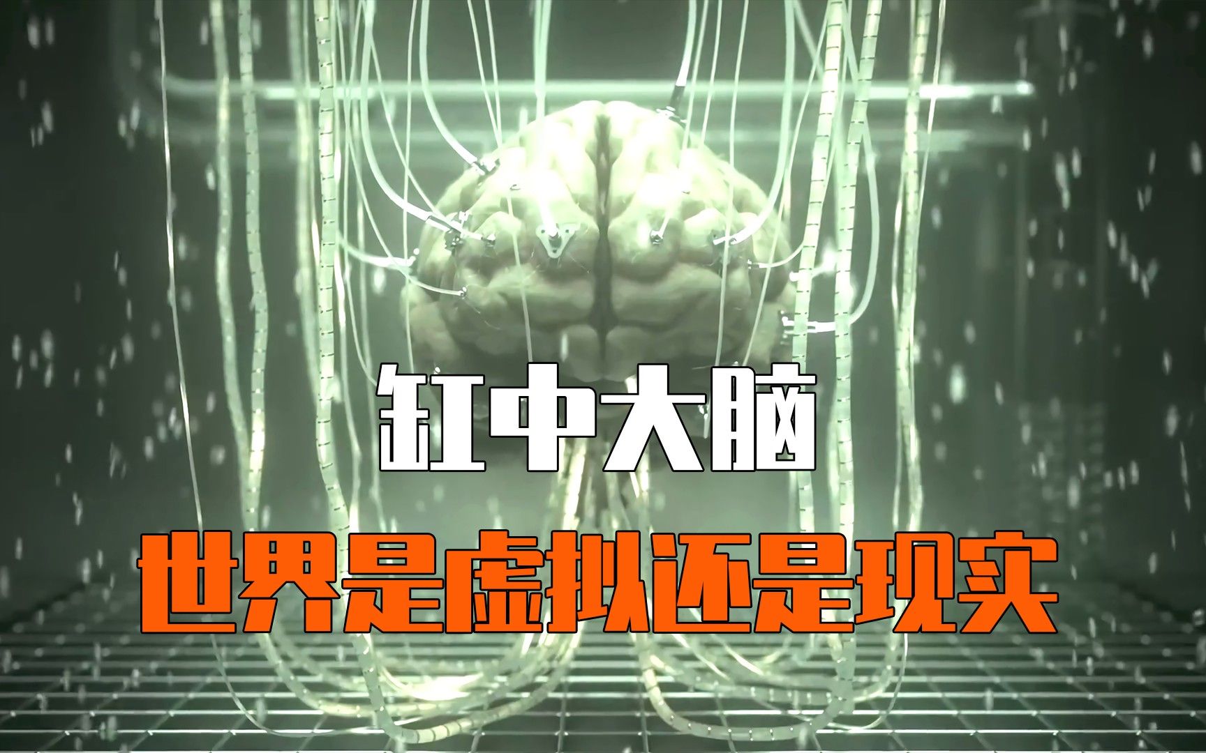你有没有一瞬间怀疑过,我们生活的世界或许并不是真实的!十大悖论之...