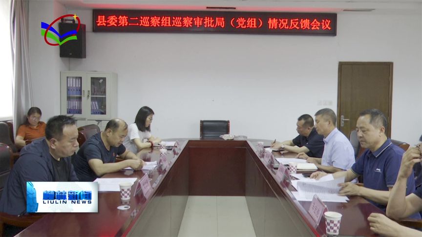 县委第二巡察组巡察审批局党组情况反馈会召开