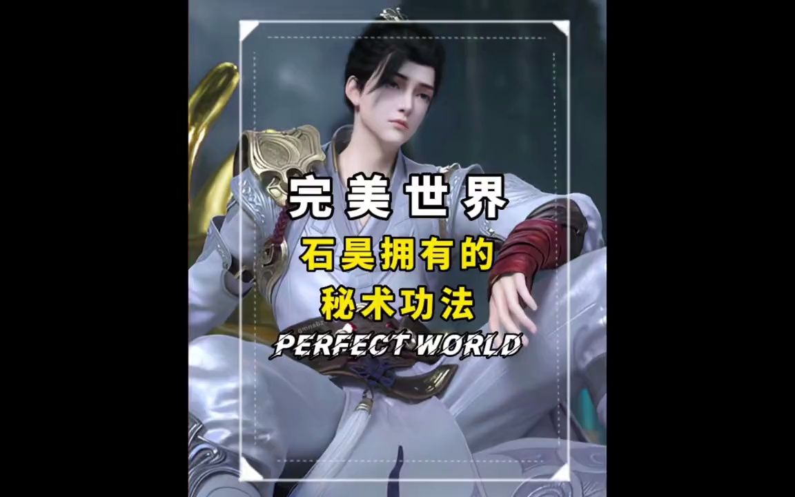 《完美世界》石昊拥有的秘术功法 #国漫 #荒天帝石昊 #动漫解说