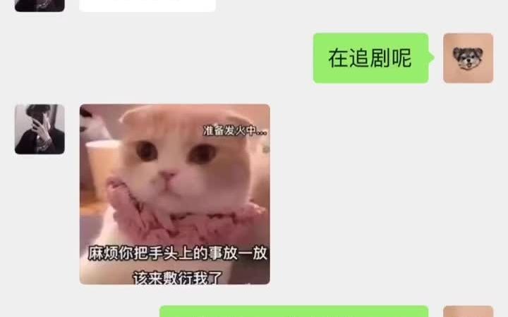 今天你撩妹了吗 表情包,憨憨好图