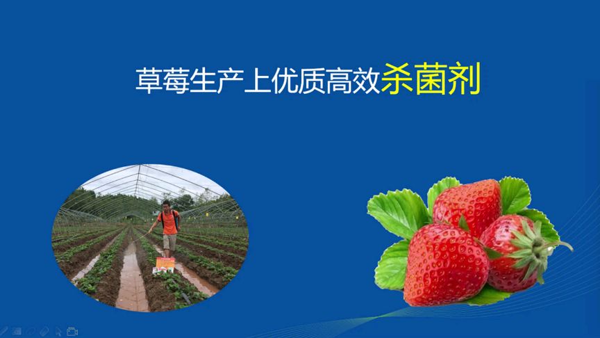 草莓防病安全、效果好的杀菌剂有哪些?使用技术分享