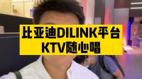 如何使用野生技术在一台 比亚迪的车里K歌