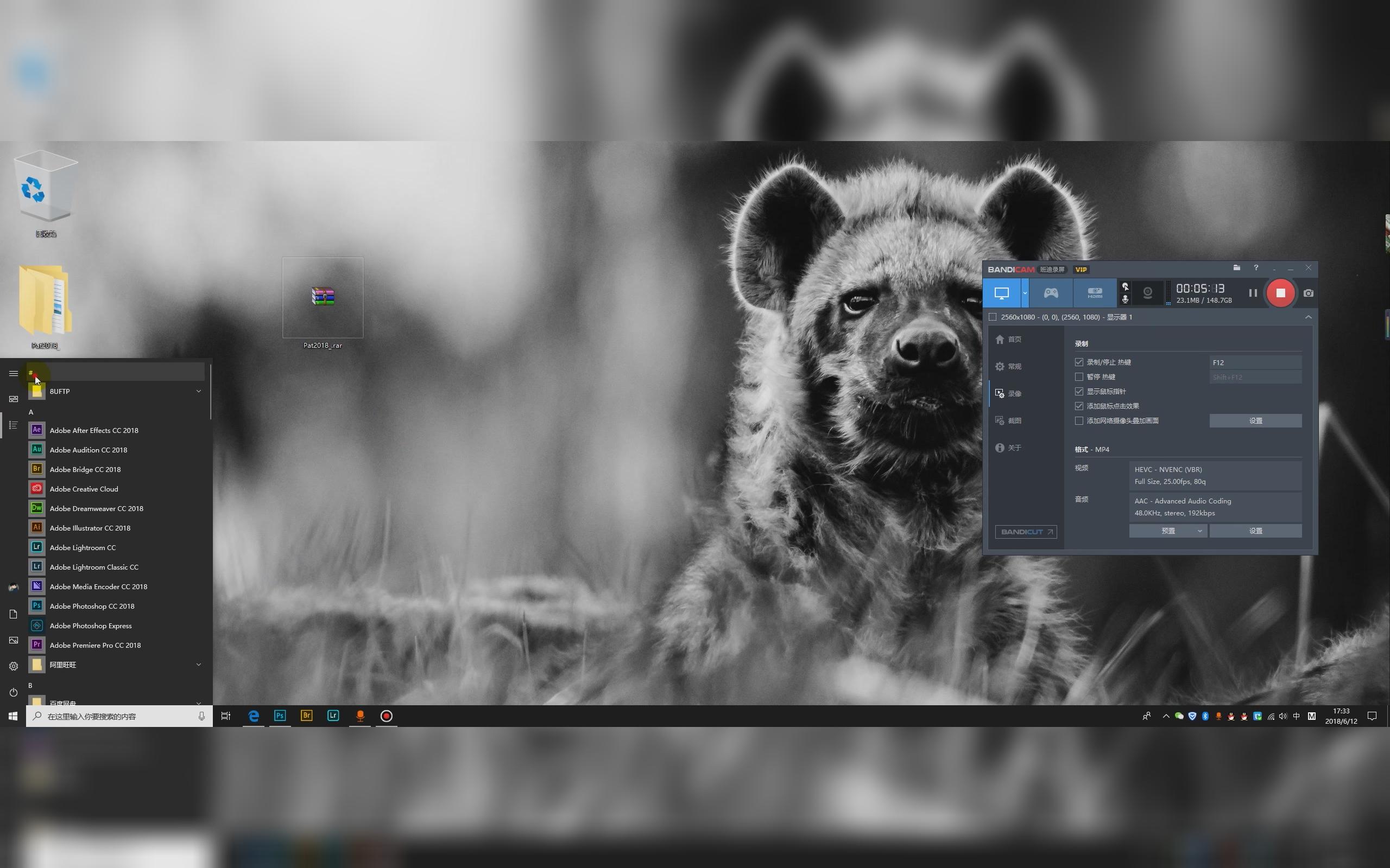 专业绘画软件Corel Painter 2018安装视频