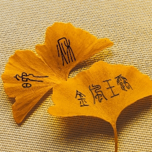 江小雨CWS 